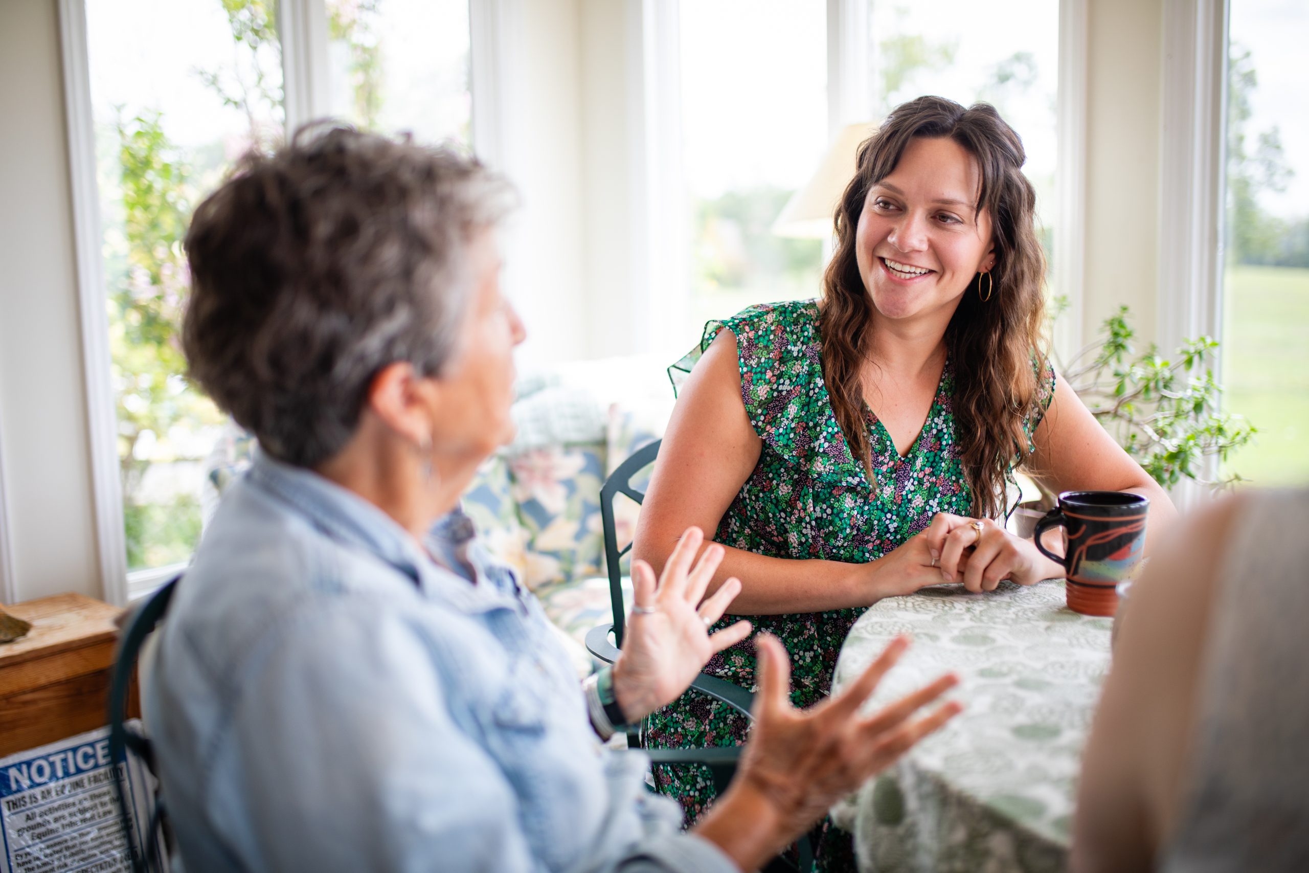 PRIORITIES - Lily Franklin For Delegate